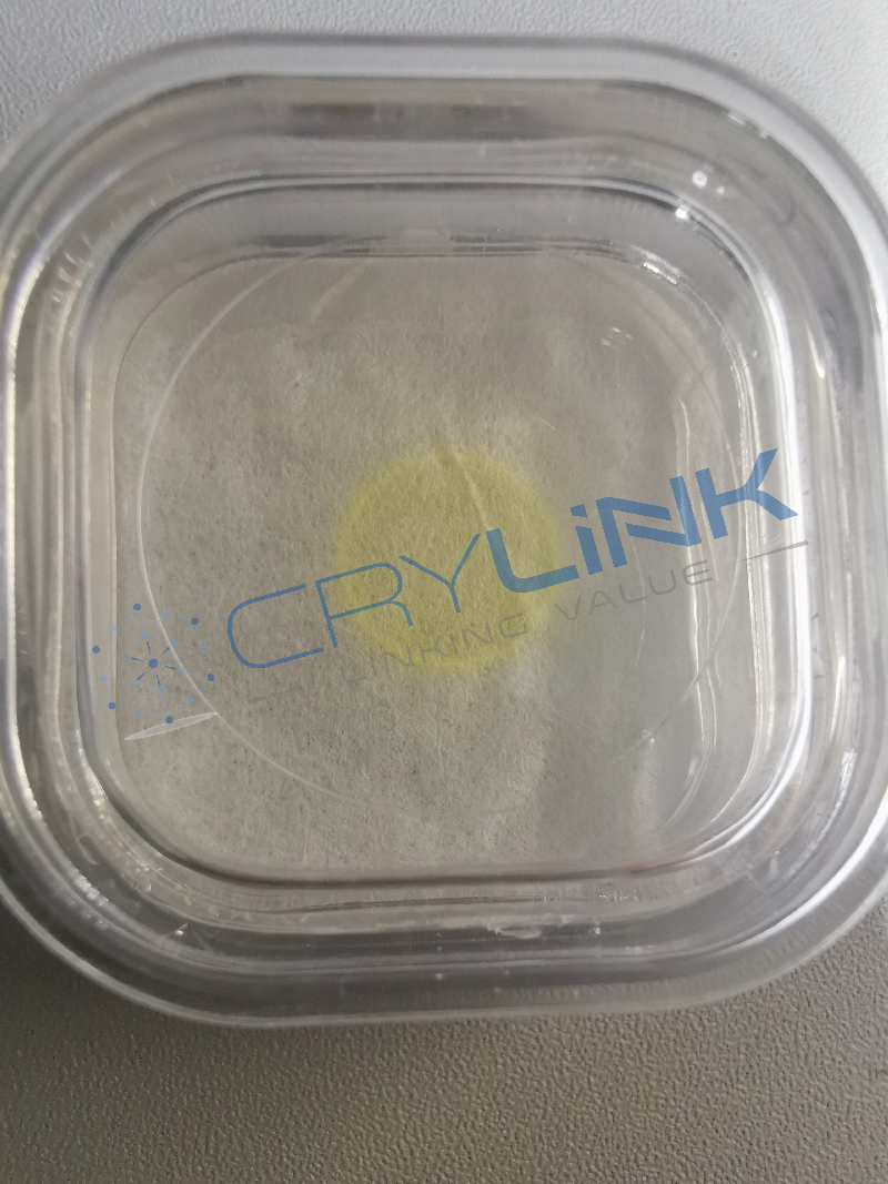 Ce:YAG Scintillator Case (4) -- Φ10*0.5mm _Manufacturers & Suppliers - Scintillator Product